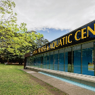 Aquatics Services | The Y